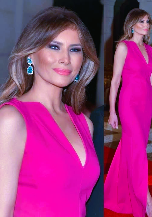 Not Just a First Lady: 10 Surprising Facts About Melania Trump - Everything