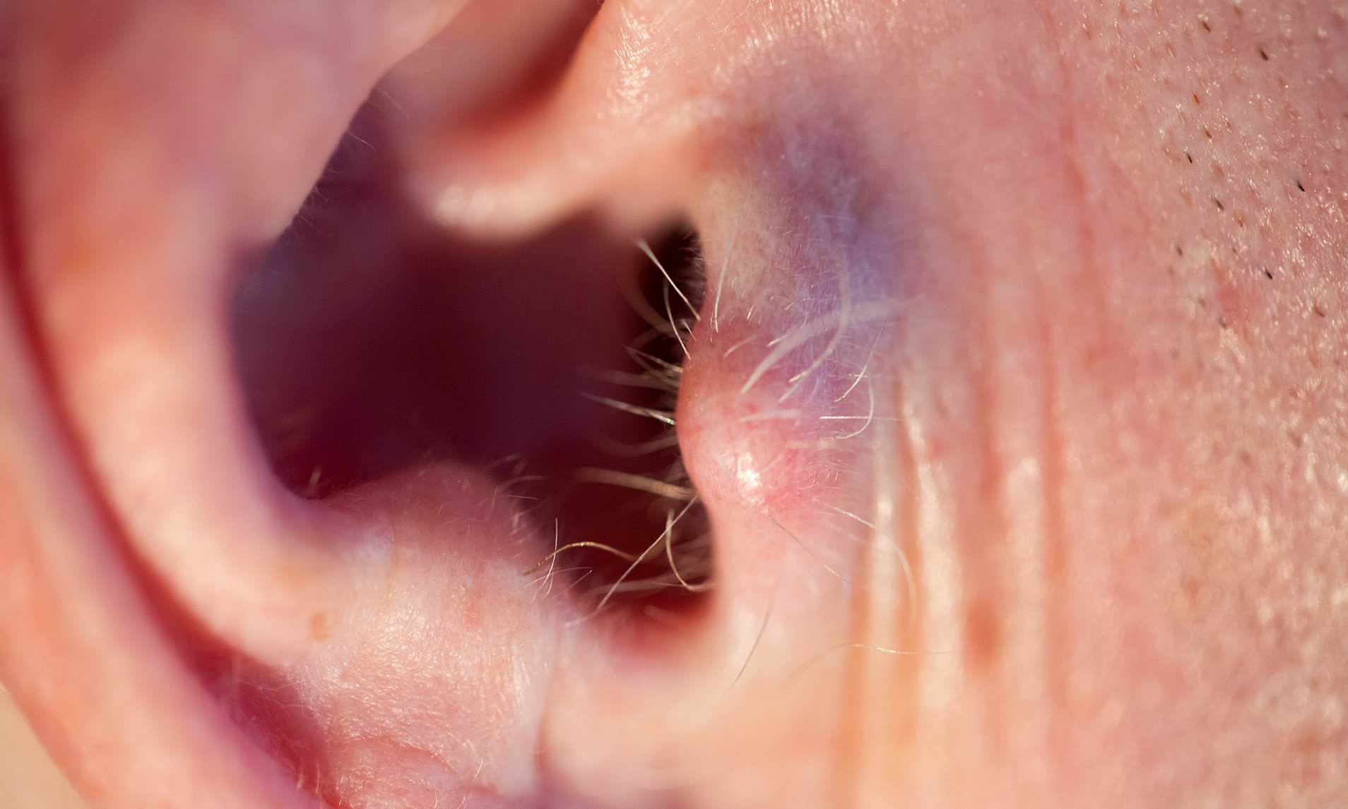 Did you know that if your ear hairs grow, it is because your body is ...