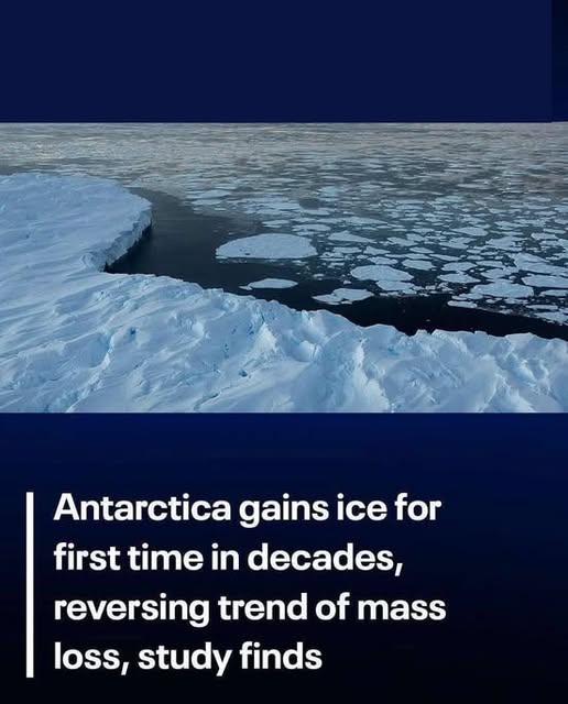 Antarctica sees first ice gain in decades - Everything
