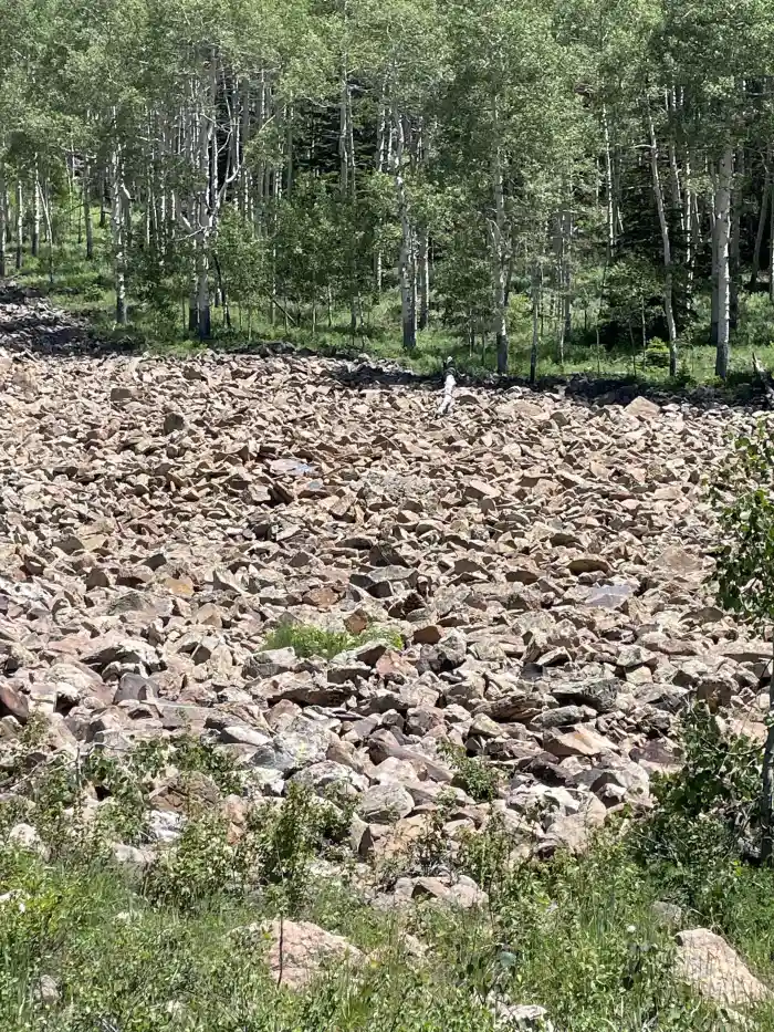 Can You Spot the Hidden Woman in This Photo? - Everything
