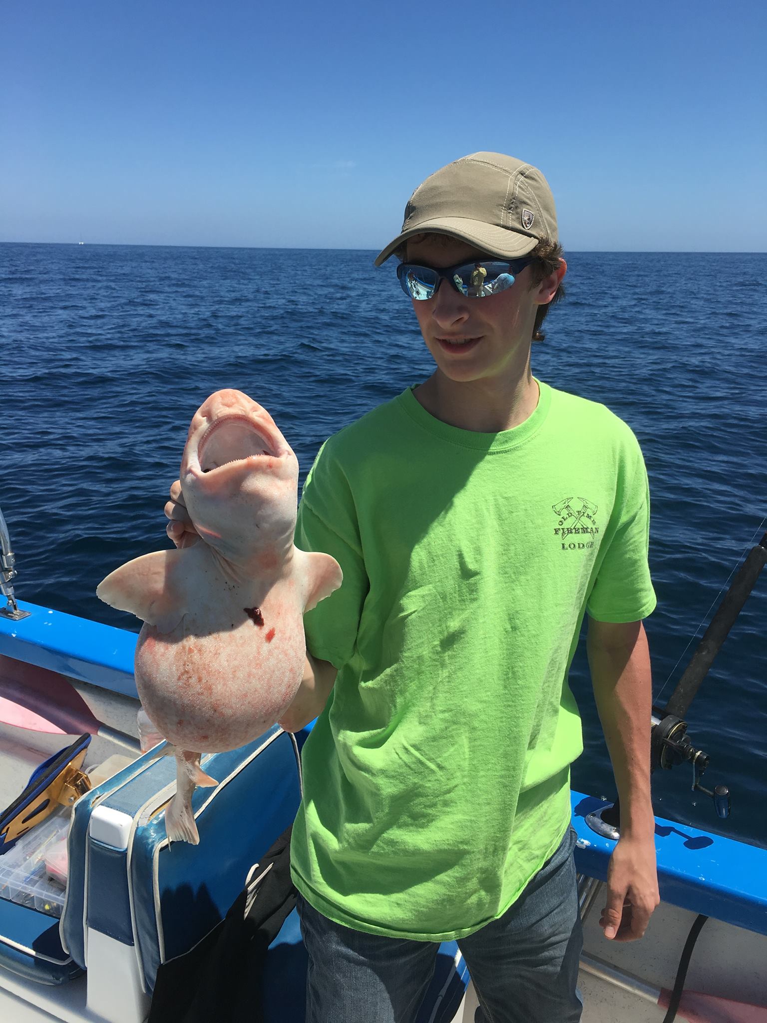 Alien Fish Mystery Solved – after studying the photos the experts agree ...