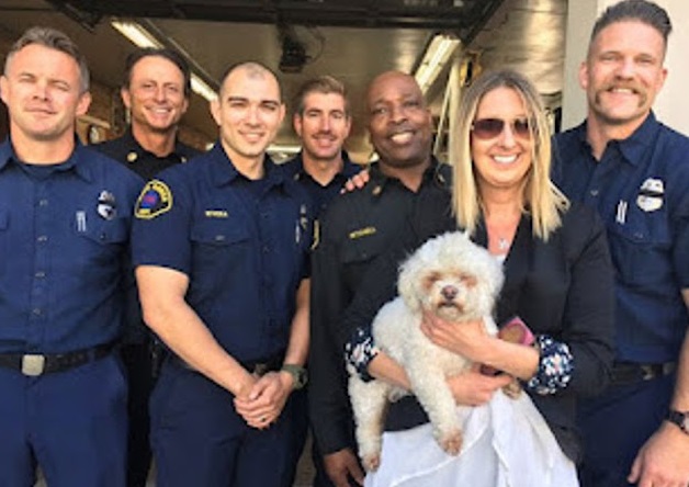 Brave firefighters rescue an unconscious dog from a fire and administer ...