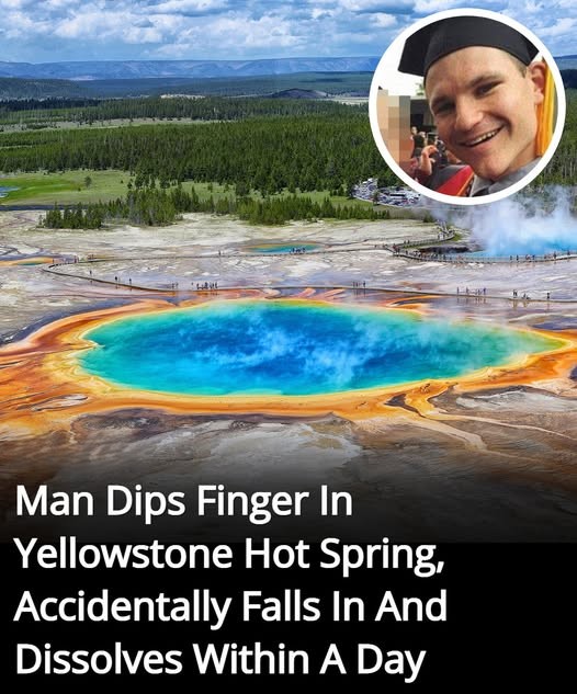 Man Dips Finger In Yellowstone Hot Spring, Accidentally Falls In And ...