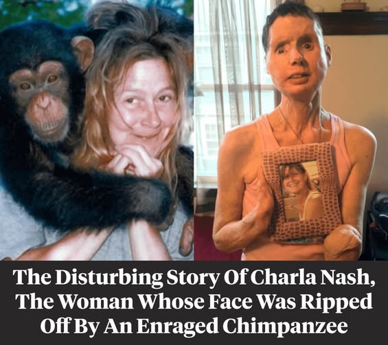The sad story of Charla Nash, the woman whose face was ripped off by an ...