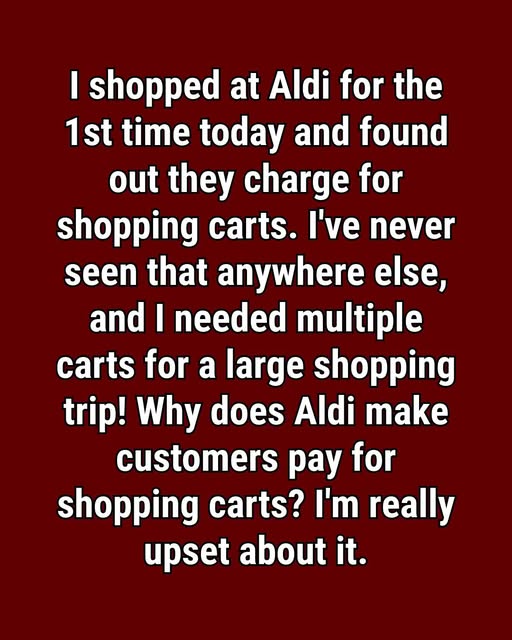 The Real Reason Aldi Makes You Pay for Shopping Carts - Everything