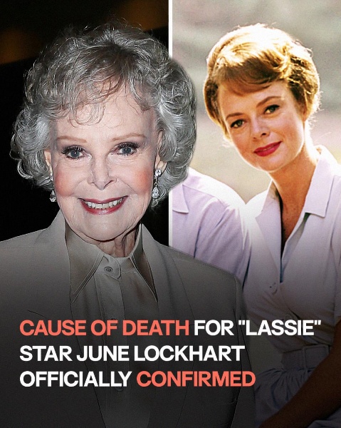 June Lockhart, famed for ‘Lassie,’ passes away - Everything