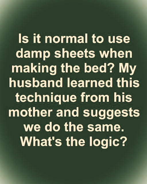 Why You Should Use Damp Sheets When Making Your Bed: The Wrinkle-Free ...