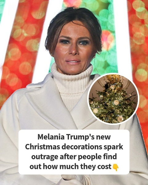 Melania Trump Draws Criticism Over Revealing Price of Holiday ...