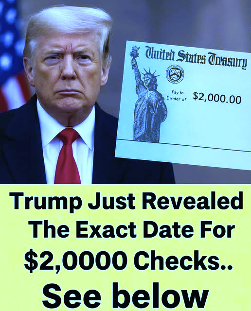 Trump Just Revealed The Exact Date - Everything