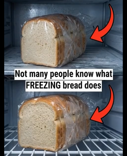 How to Freeze Bread Properly (Without Ruining It) - Everything